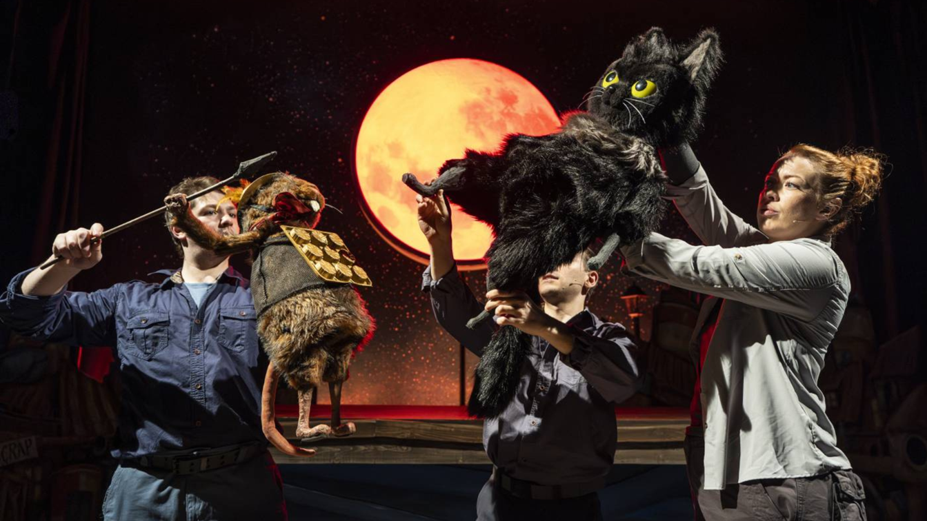 Review: Toto the Ninja Cat and the Great Snake Escape, Little Angel ...